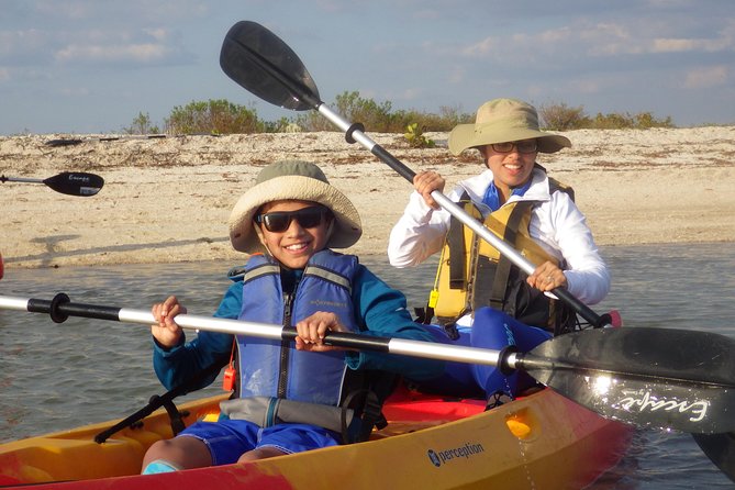 Small Group Boat, Kayak and Walking Guided Eco Tour in Everglades National Park - Key Points