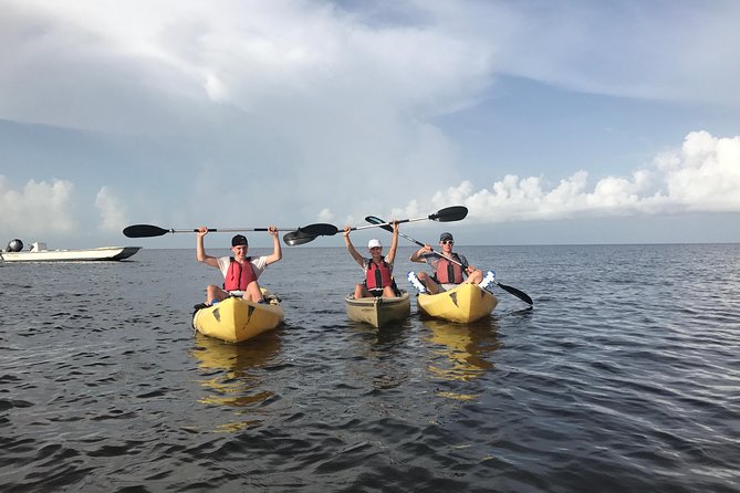 Small Group Boat, Kayak and Walking Guided Eco Tour in Everglades National Park - A Deep Dive into the Eco Tour Experience
