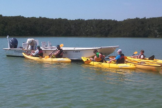 Small Group Boat, Kayak and Walking Guided Eco Tour in Everglades National Park - The Itinerary: What You Can Expect