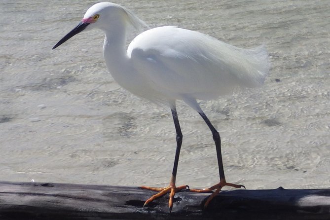Small Group Boat, Kayak and Walking Guided Eco Tour in Everglades National Park - Value and Price Analysis