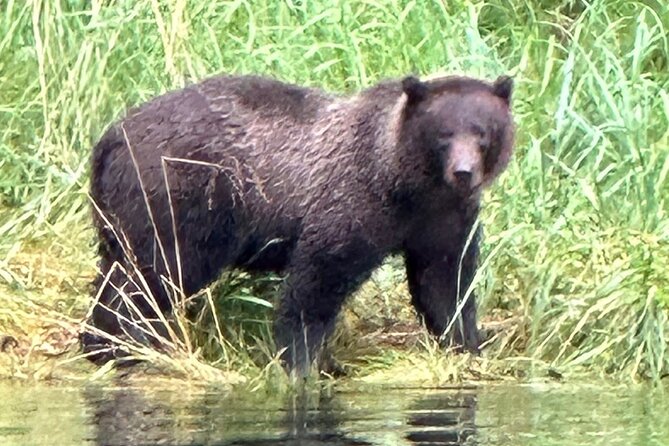 Small Group Boat Tour of Sitka - The Practical Side: Logistics, Price, and Value