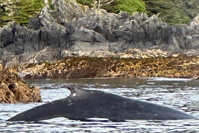 Small Group Boat Tour of Sitka - Real Experiences from Travelers