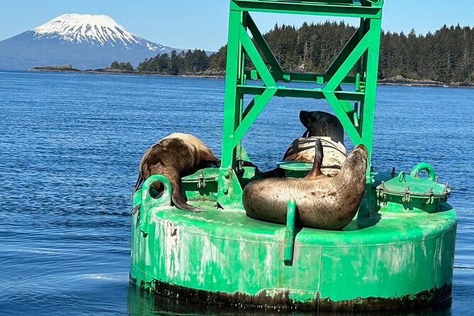 Small Group Boat Tour of Sitka - Who This Tour Is Perfect For