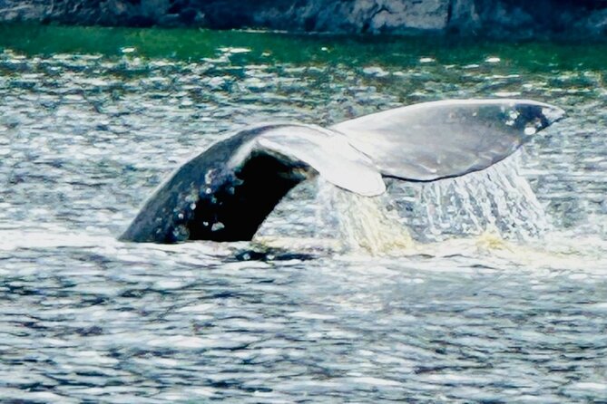 Small Group Boat Tour of Sitka - FAQ