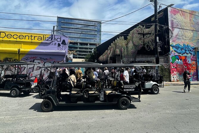 Small-Group Brewery Golf Cart Tour of Wynwood with a Local Guide - Wynwood Walls and Museum of Graffiti