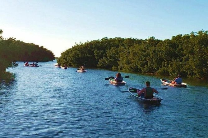 Small-Group Clear Kayak Tour in Shell Key - Introducing the Experience