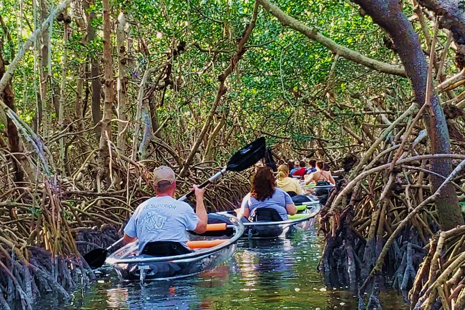 Small-Group Clear Kayak Tour in Shell Key - The Details of the Tour
