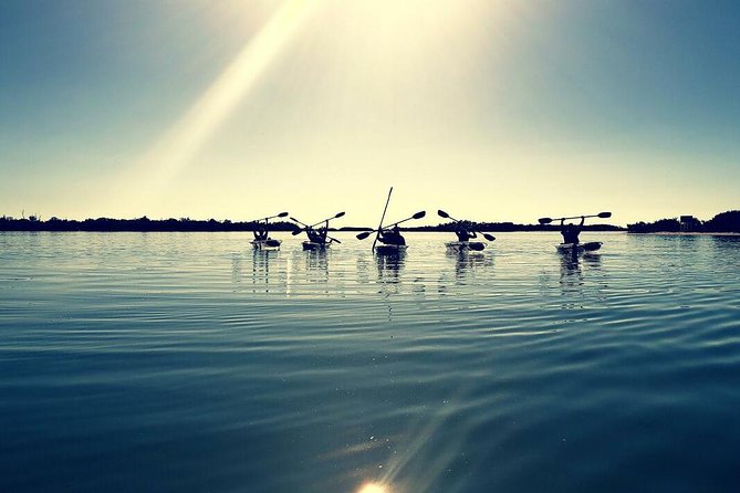 Small-Group Clear Kayak Tour in Shell Key - Why This Tour is a Great Choice