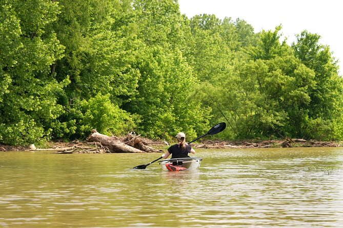 Small Group Clear Kayak Tour of Old Hickory Lake - The Sum Up: Why Choose This Tour?