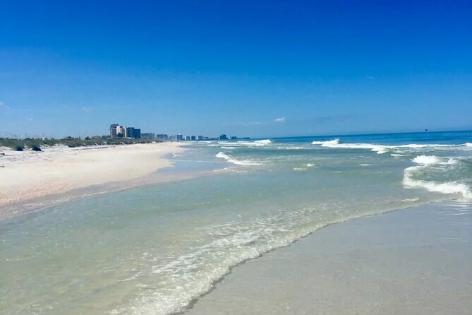 Small Group Clearwater Beach, Dolphin Watch Day Tour from Orlando - An In-Depth Look at the Tour Experience