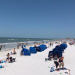 Small Group Clearwater Beach, Dolphin Watch Day Tour from Orlando - In Summary