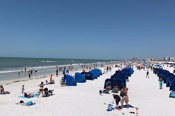 Small Group Clearwater Beach, Dolphin Watch Day Tour from Orlando - In Summary