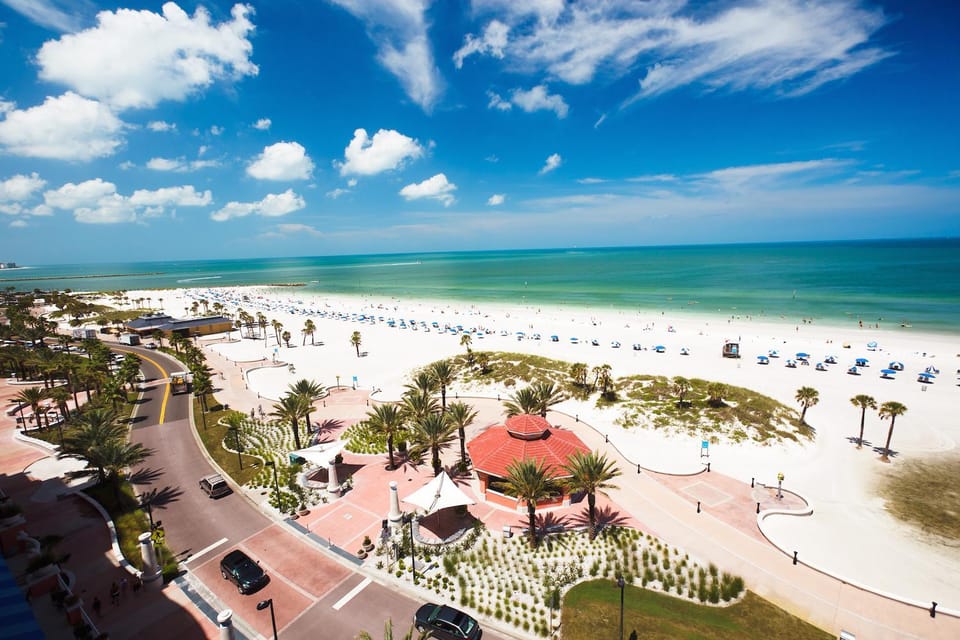 Small Group Clearwater Beach,Dolphin Watch Tour from Orlando - Key Points