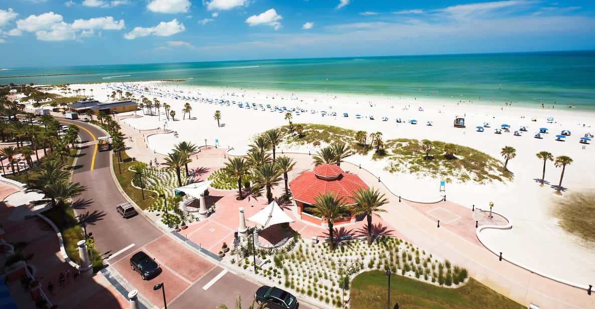 Small Group Clearwater Beach,Dolphin Watch Tour from Orlando - An In-Depth Look at the Clearwater Beach Day Trip