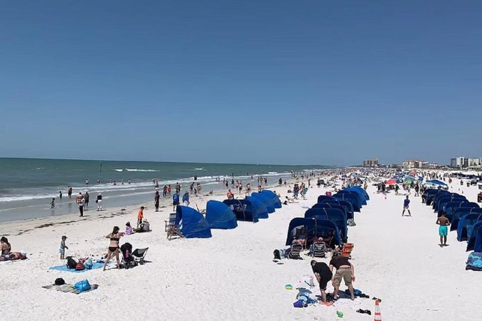 Small Group Clearwater Beach,Dolphin Watch Tour from Orlando - Frequently Asked Questions
