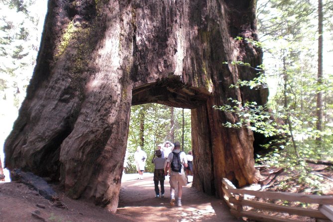 Small-Group Day Trip to Yosemite from Lake Tahoe - Our Honest Take: Is This Tour Worth It?
