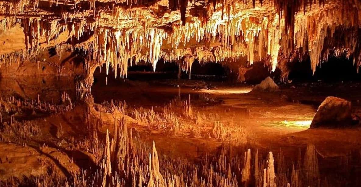 Small-Group DC Day Trip to Shenandoah Park&Luray Cavern - The Experience: What Sets This Tour Apart