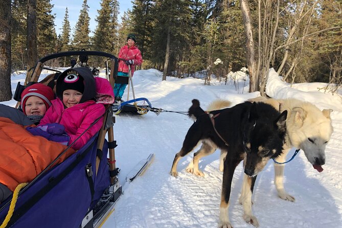 Small-Group Dog Sledding Experience in Sterling - The Experience and Its Highlights