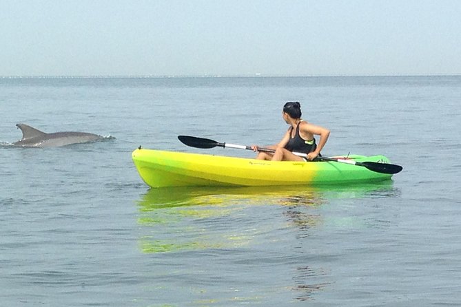 Small Group Dolphin Kayak Eco-Tour - Final thoughts: Who is this tour best for?
