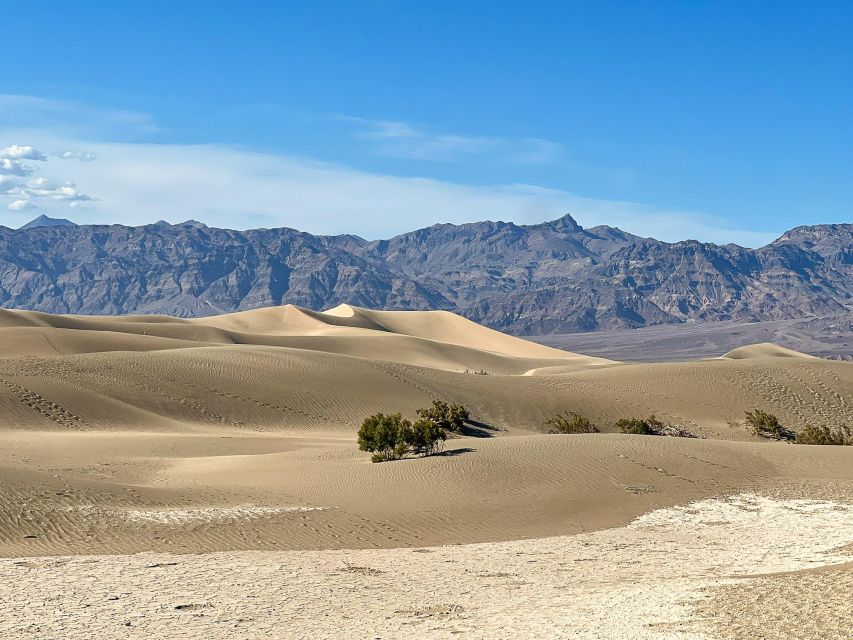 Small Group Family Tour at the Death Valley from Las Vegas - Tour Guides and Authenticity