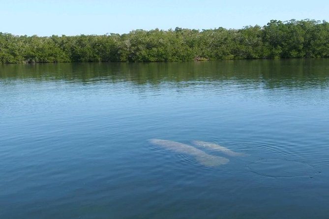Small Group Florida Keys Eco Tour by Boat - What You Can Expect at Each Stop