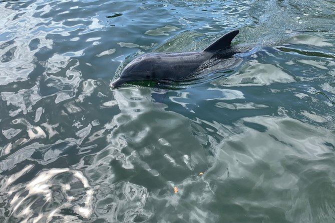Small Group Florida Keys Eco Tour by Boat - Frequently Asked Questions