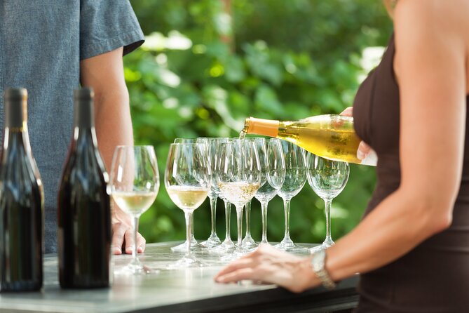 Small-Group Giant Redwoods and Russian River Wine Country Trip - A Deep Dive into the Experience