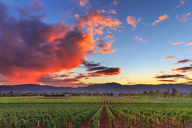Small-Group Giant Redwoods and Russian River Wine Country Trip - Authentic Traveler Insights