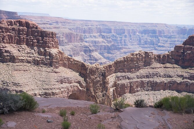 Small Group Grand Canyon, Hoover Dam and Joshua Tree Forest Tour - FAQs