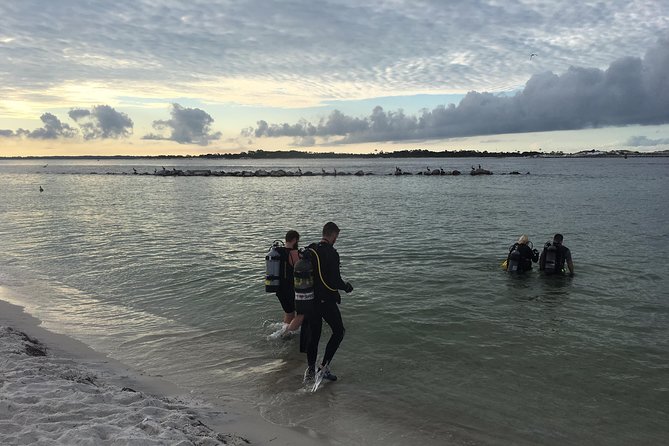 Small Group Guided Shore Dives in St. Andrews State Park, Florida - What Makes This Shore Dive Experience Special?