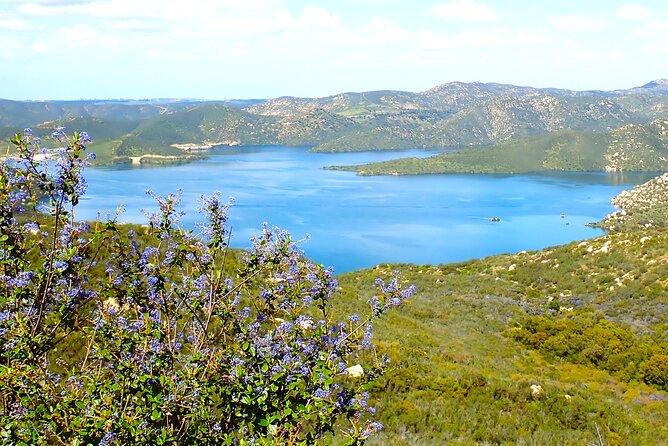 Small Group Hike Through San Diego's Heart and Soul - An In-Depth Look at the Experience