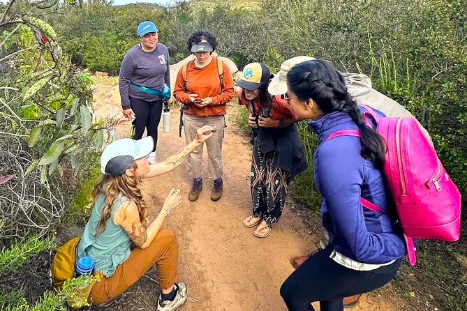 Small Group Hike Through San Diego's Heart and Soul - What Reviewers Say