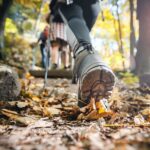 Small Group Hiking Around The Pinecrest Lake Trail - Who Is This Tour Best For?
