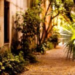 Small Group Historic Charleston walking Tour - The Cost and What You Get