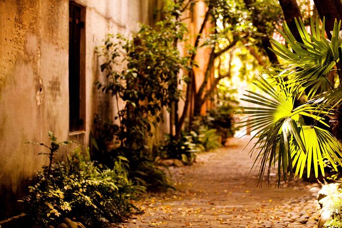Small Group Historic Charleston walking Tour - The Cost and What You Get