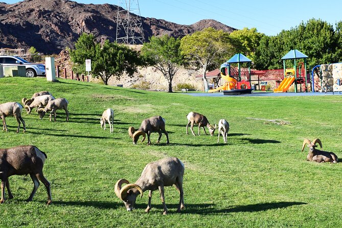 Small-Group Hoover Dam Tour from Las Vegas - Who Should Book This Tour?
