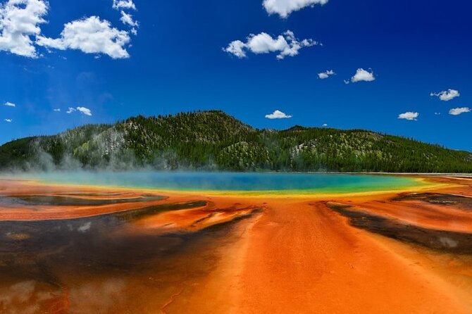 Small Group In-Depth Yellowstone&Grand Teton 5-Day w/2NightCabins - Transportation and Accommodation: Why It Matters