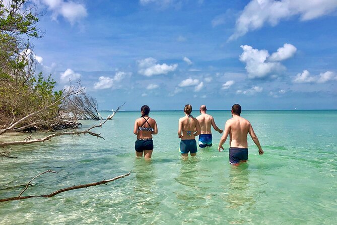 Small Group Kayak Tour of the Shell Key Preserve - Unpacking the Experience: What to Expect
