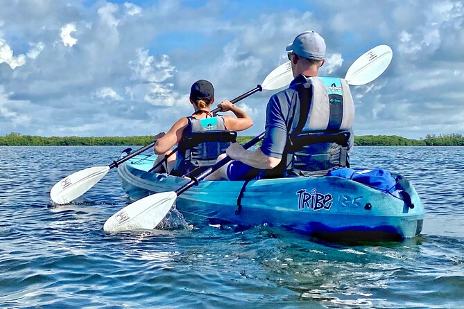 Small Group Kayak Tour of the Shell Key Preserve - Final Thoughts