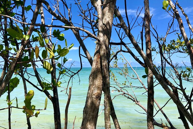 Small Group Kayak Tour of the Shell Key Preserve - Additional Information
