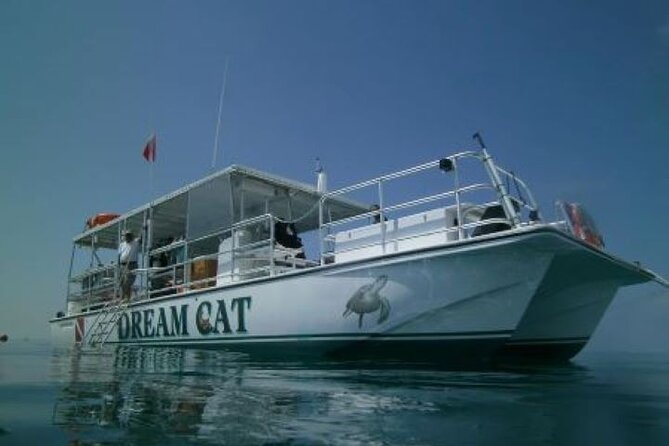 Small Group Key West Snorkel Adventure - What to Expect from the Small Group Snorkel Adventure