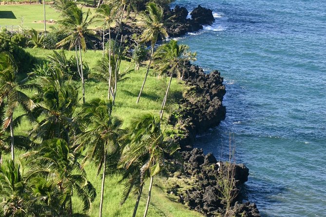 Small-Group Luxury Tour: Road to Hana and Ka'eleku Cavern Day Trip - An In-Depth Look at the Maui Small-Group Road to Hana Tour