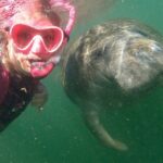 Small Group Manatee Snorkel Tour with In-Water Guide and Photographer - The Sum Up