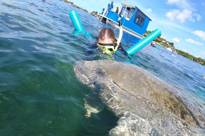 Small Group Manatee Snorkel Tour with In-Water Guide and Photographer - FAQs