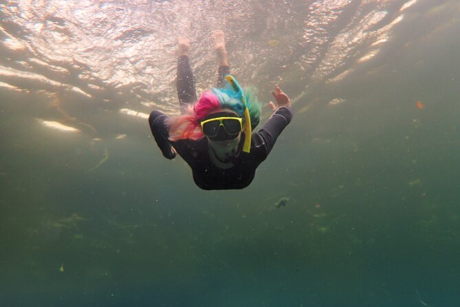 Small Group Manatee Swim Tour With Free Photos - An In-Depth Review of the Manatee Snorkeling Tour
