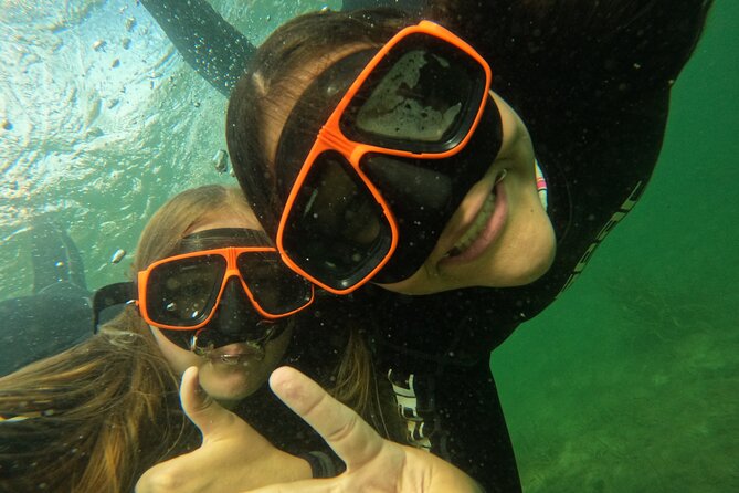 Small Group Manatee Swim Tour With Free Photos - Who Will Love This Tour?