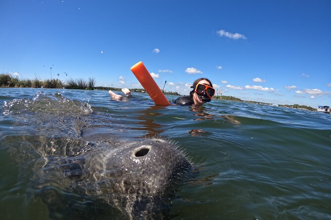 Small Group Manatee Swim Tour With Free Photos - Final Thoughts: Is It Worth It?