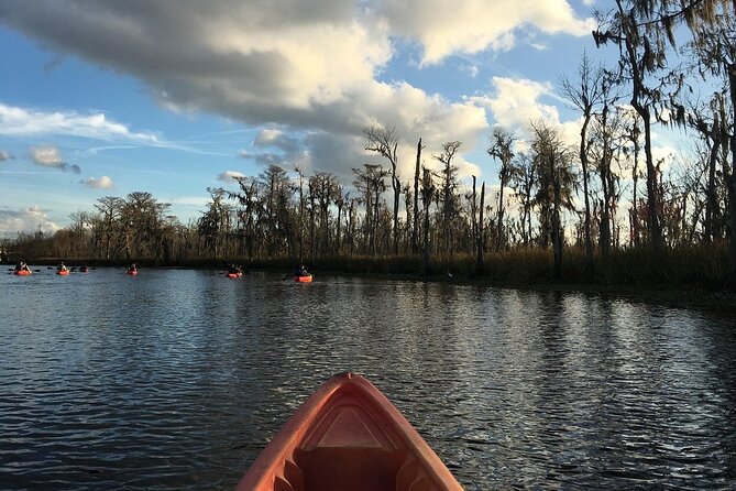 Small-Group Manchac Swamp Kayak Tour - FAQs