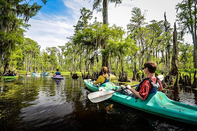 Small-Group Manchac Swamp Kayak Tour with Local Guide - A Deep Dive into the Manchac Swamp Kayak Experience