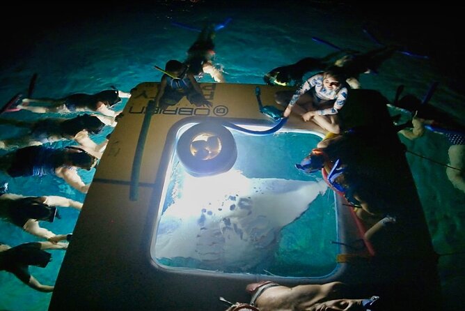 Small-Group Manta Ray Night Snorkel from Kona - The Experience Breakdown